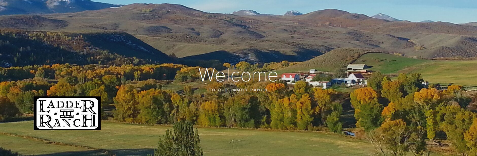 Cobdr Adventure | Dirt Bike Adventure Rides